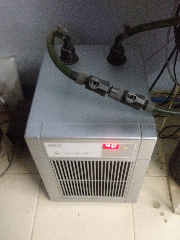 ขาย ชิลเลอร์ gex coolway 200 ราคาถูก 4000 บาท (ตั้งจากมือถือ)