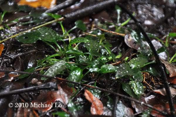 ถ้าเราไปเก็บของ จากธรรมชาติมาใส่ตู้