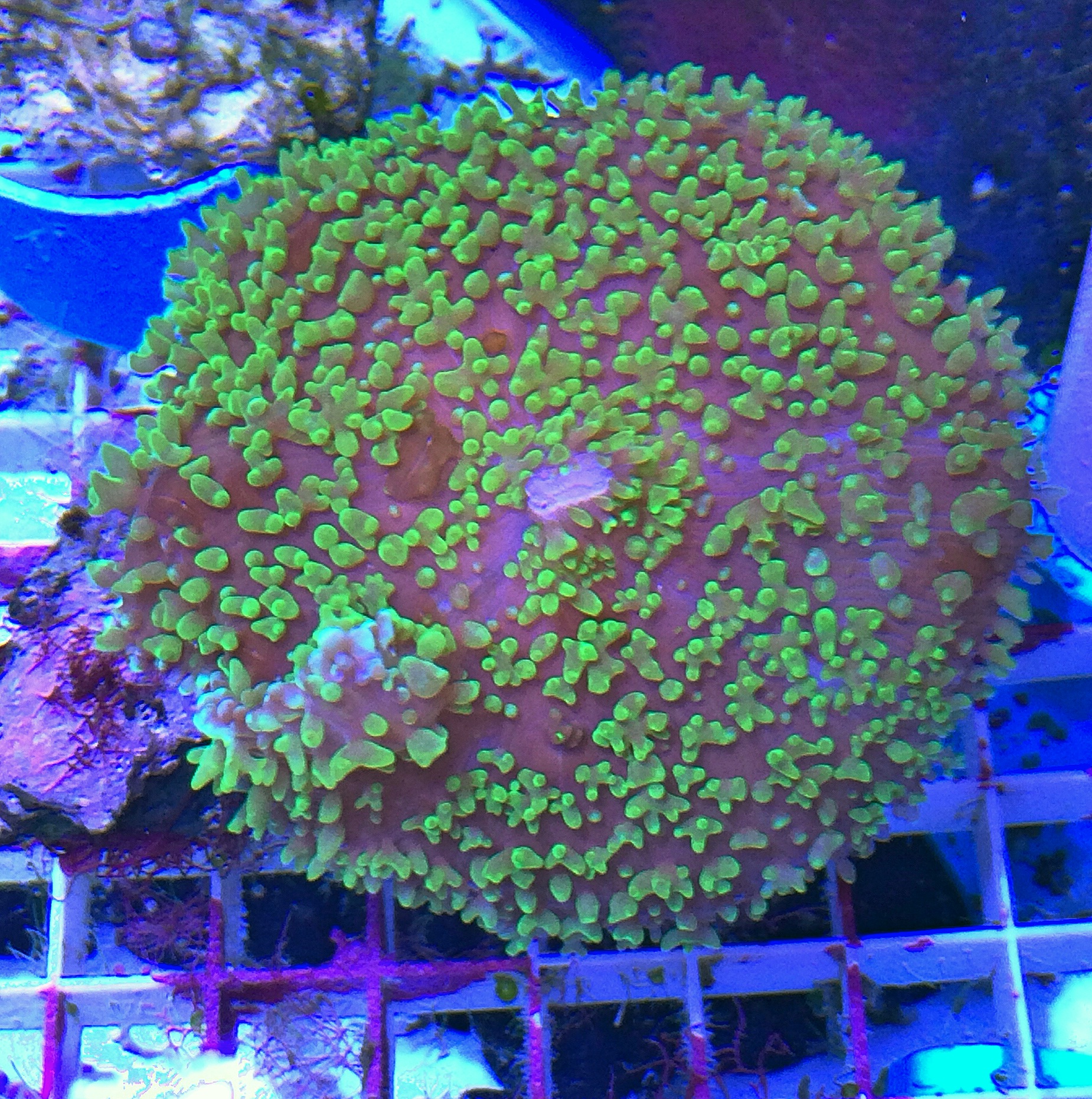 [ ขอบพระคุณมากครับ ] สวัสดีปีใหม่ไทย ทุกท่านะครับ