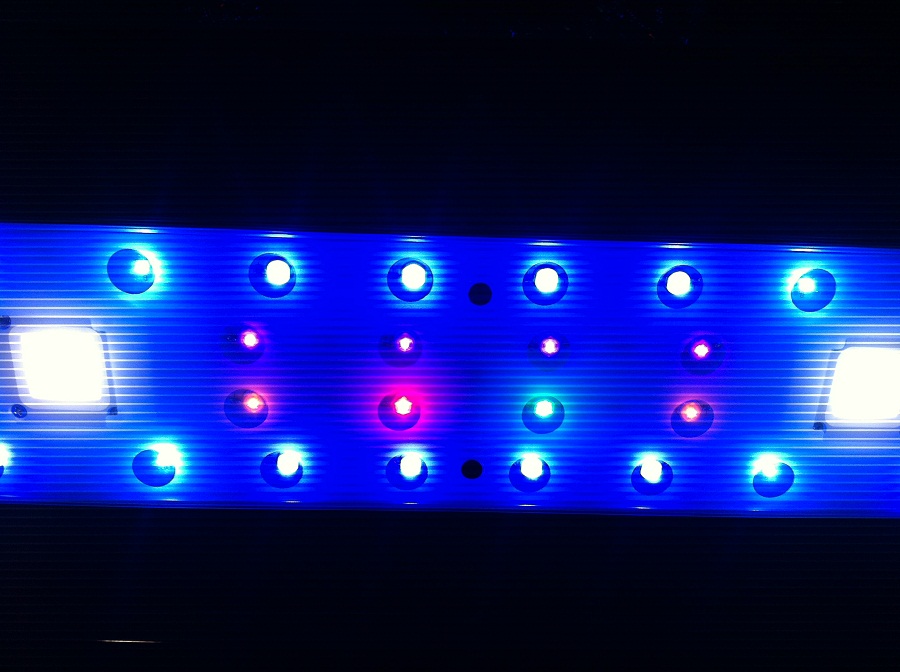 ขายZETLIGHT 6600 ครับถูกๆ ใหม่มาก ใช้งานจริง 3 เดือน ประกันหมดปี58