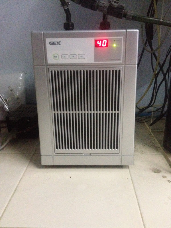 ขาย ชิลเลอร์ gex coolway 200 ราคาถูก 4000 บาท (ตั้งจากมือถือ)