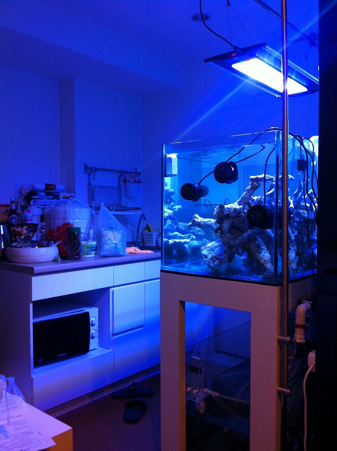 ขายZETLIGHT 6600 ครับถูกๆ ใหม่มาก ใช้งานจริง 3 เดือน ประกันหมดปี58